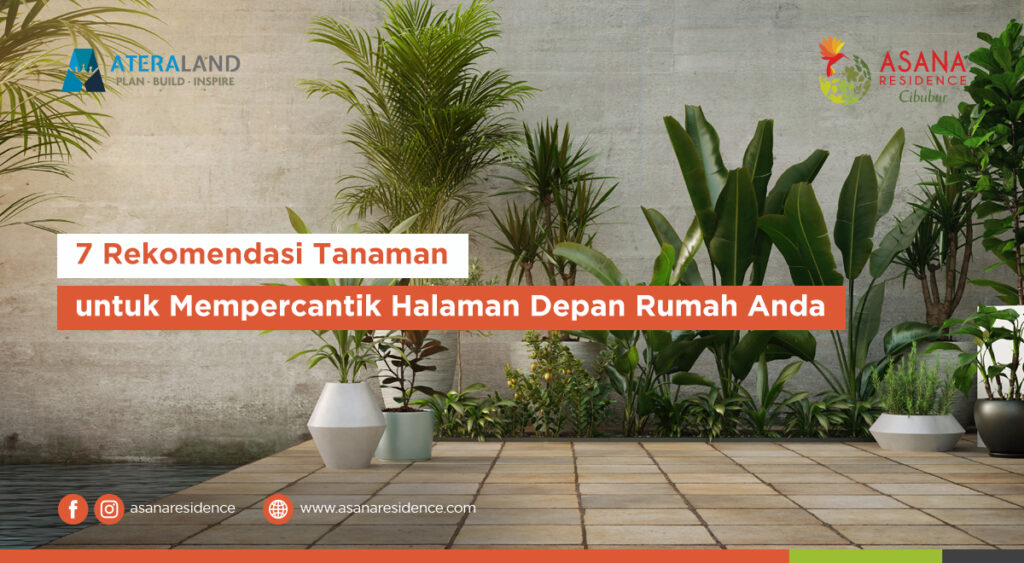 7 Rekomendasi Tanaman untuk Mempercantik Halaman Depan Rumah Anda ...